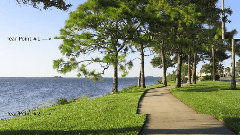 FPS Limiter - How to Limit FPS (Frame Rate) in Games Easily - ThePCBuild